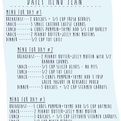 Meal Plans Archives - Baby Foode