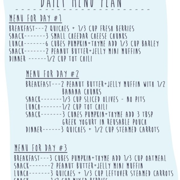 Meal Plans Archives - Baby Foode