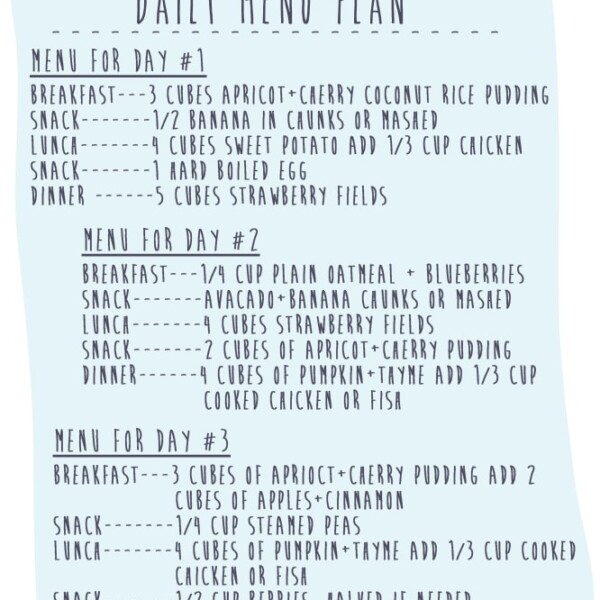 Meal Plans Archives - Baby Foode