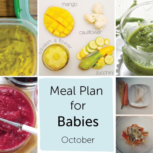 Meal Plans Archives - Baby Foode