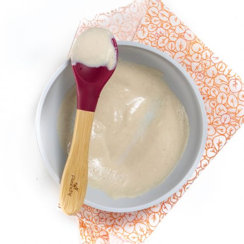 The Best Basic Chicken Baby Food Puree (6 months - Stage 1) | Baby Foode