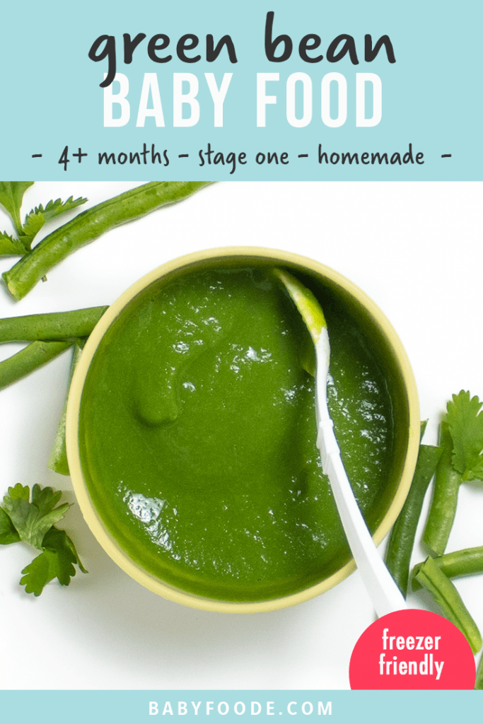 Green Bean Baby Food (Stage One) - Baby Foode
