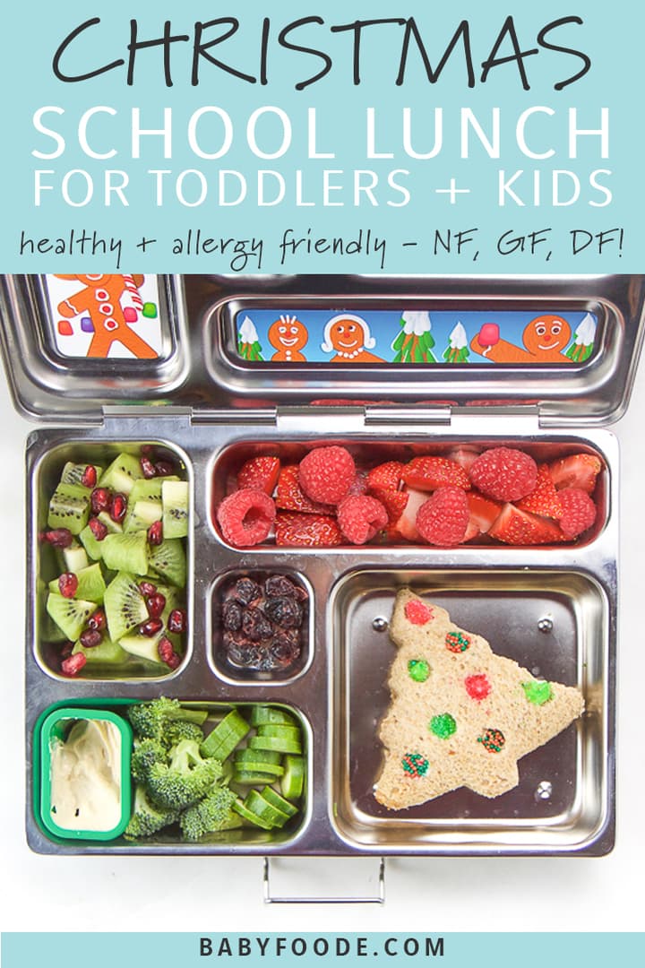 Christmas School Lunch Idea for Kids - Baby Foode