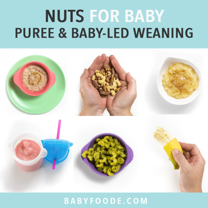 How to Introduce Nuts to Baby (purees & baby-led weaning) | Baby Foode