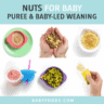 How to Introduce Nuts to Baby (purees & baby-led weaning) | Baby Foode
