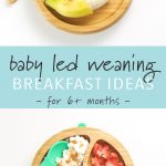 6 Baby-Led Weaning Breakfast Ideas (Easy to Make!) - Baby Foode