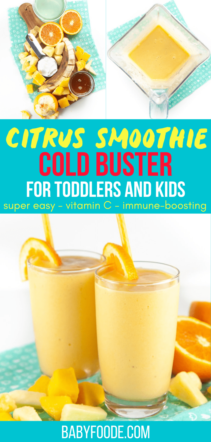 Cold Buster Smoothie - Toddler & Kid (make great popsicles) - Baby Foode