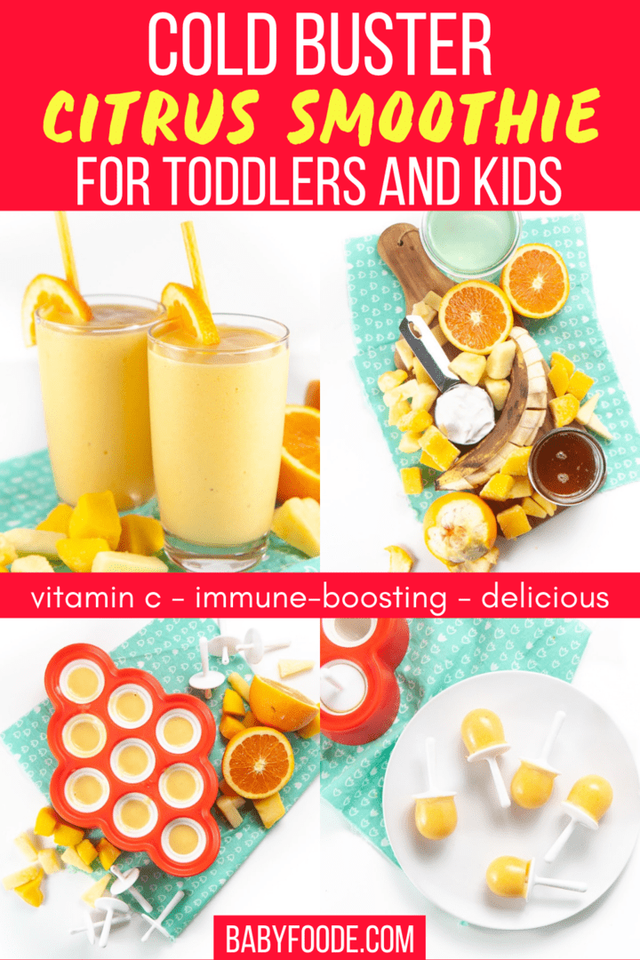 Cold Buster Smoothie - Toddler & Kid (make great popsicles) - Baby Foode