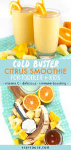 Cold Buster Smoothie - Toddler & Kid (make great popsicles) - Baby Foode