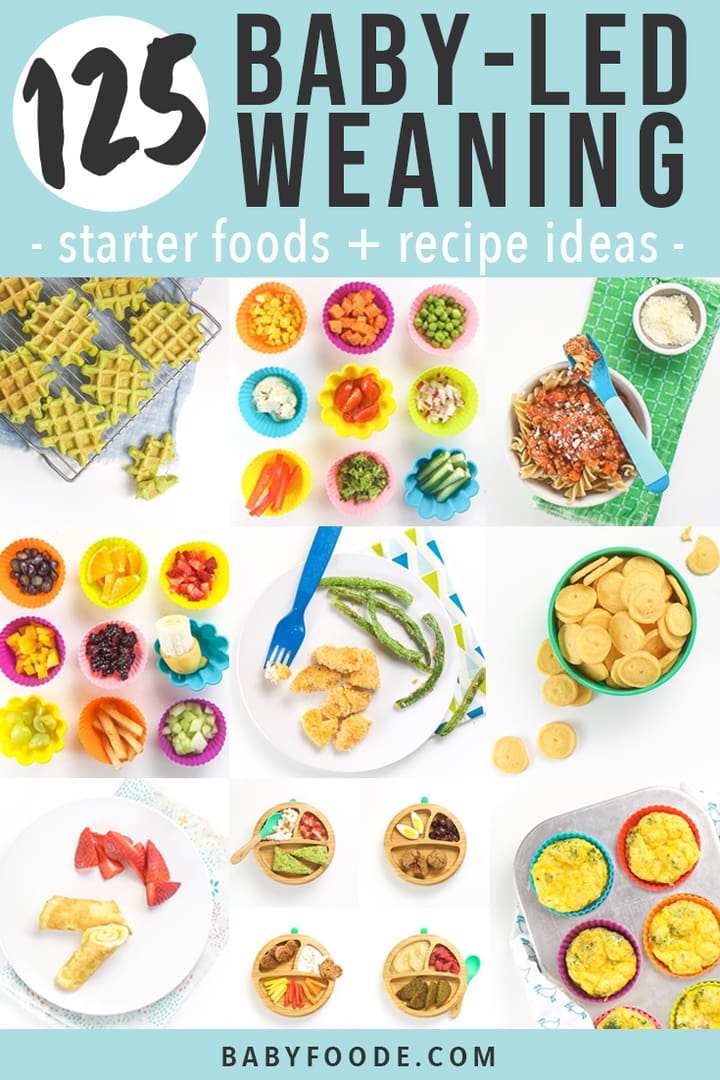 125 Baby Led Weaning Foods Starter Recipe Ideas Baby Foode 125 Baby Led Weaning Foods Starter Recipe Ideas Baby Foode