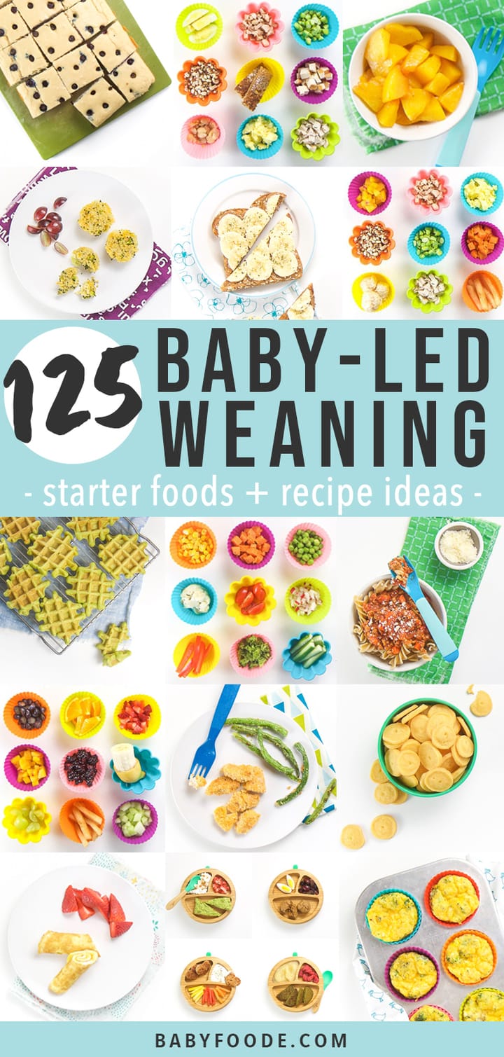 125 Baby Led Weaning Foods (Starter + Recipe Ideas) - Baby Foode