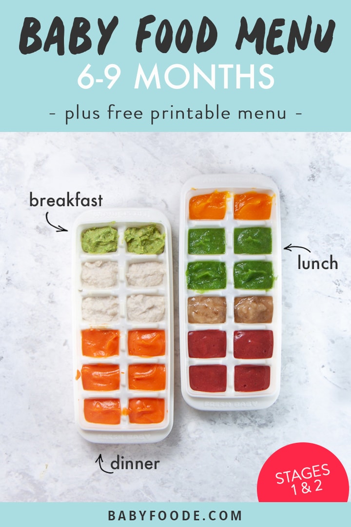 6 9 MONTH OLD BABY FOOD PUREE Meals R Us 6 9 MONTH OLD BABY FOOD PUREE Meals R Us