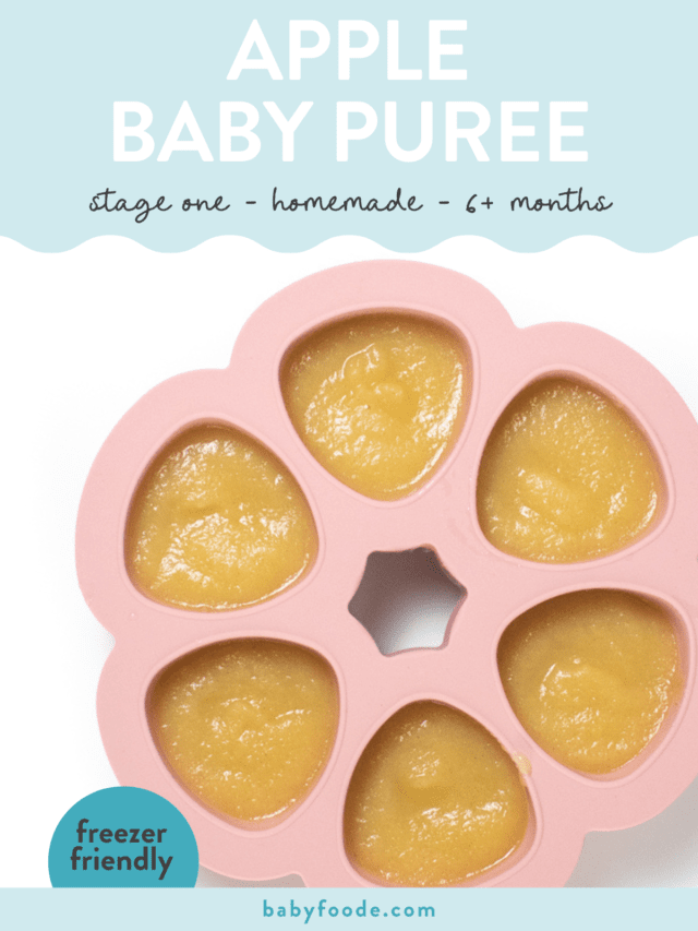 Apple Baby Food Puree (Stage 1) - Baby Foode