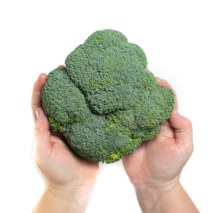 Broccoli for Baby-Led Weaning (6+ months) | Baby Foode