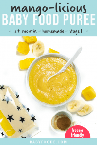Creamy Mango-licious Baby Food Puree (Stage One) - Baby Foode