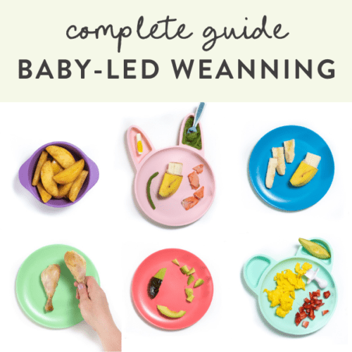 100 of the Best Baby-Led Weaning Recipes (6-12 months) | Baby Foode