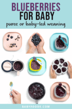 How to Serve Blueberries to Baby | Baby FoodE