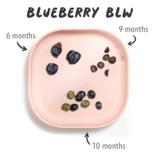 Blueberries for Baby - 10 Easy Ways | Baby Foode
