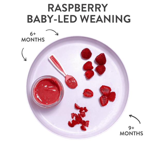 How to Serve Raspberries to Baby | Baby Foode