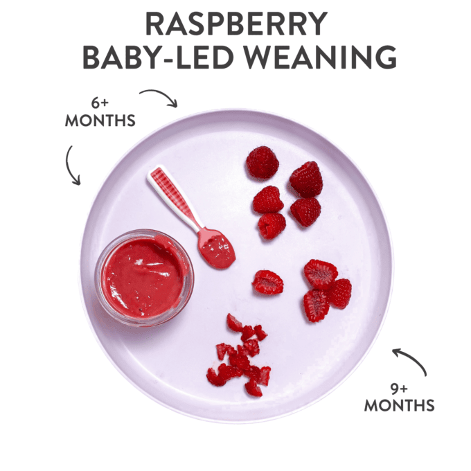 How to Serve Raspberries to Baby | Baby Foode