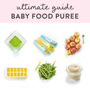 Baby Foode - Adventurous Recipes for Babies and Toddlers