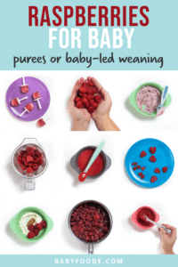 How to Serve Raspberries to Baby | Baby Foode