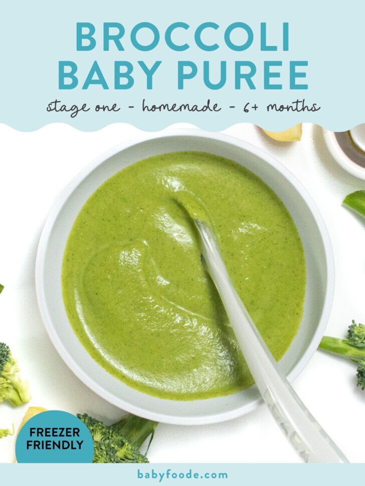 The Best Broccoli Baby Food Puree (Stage One) | Baby Foode