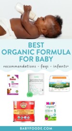 The 5 Best Organic Baby Formulas of 2024 (pros + cons) | Baby Foode