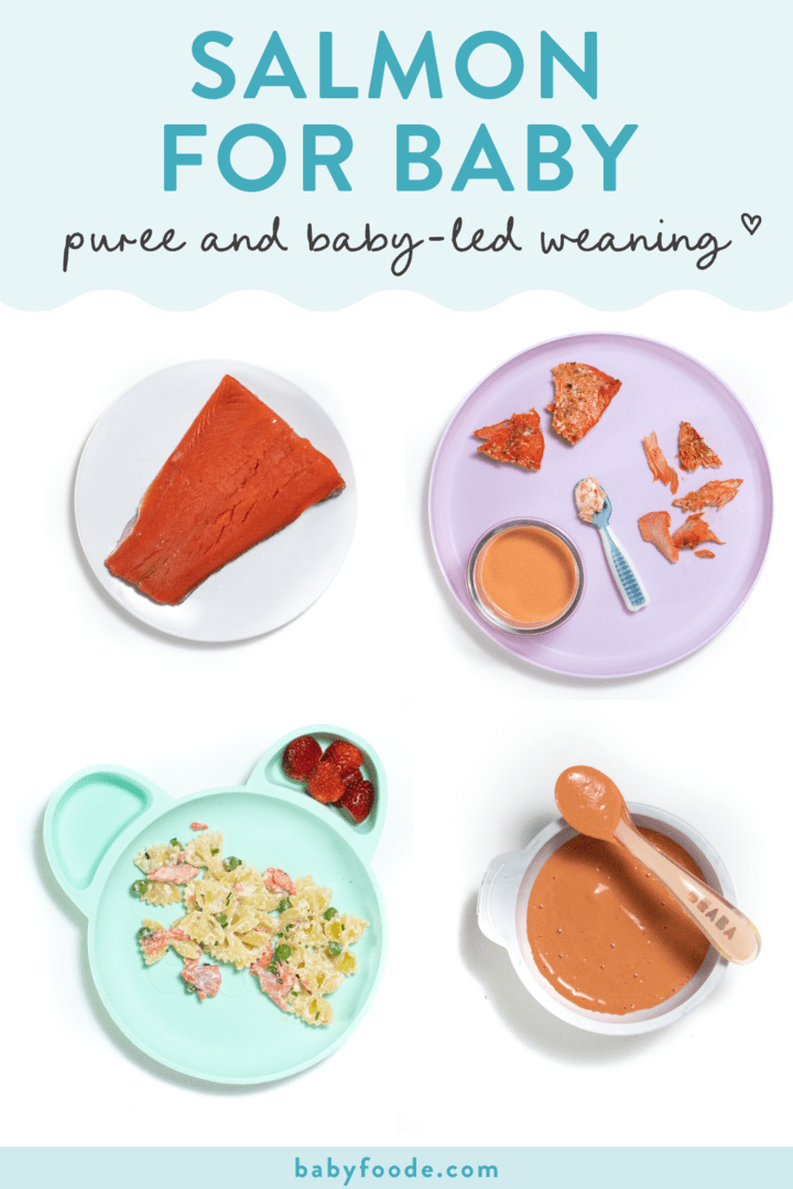 Roasted Salmon with Paprika Baby Food (puree or BLW) | Baby Foode
