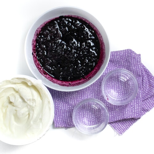 Flavorful Blueberry Yogurt (3-Ingredients) | Baby Foode
