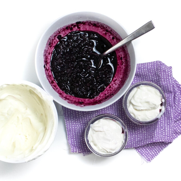 Flavorful Blueberry Yogurt (3-Ingredients) | Baby Foode