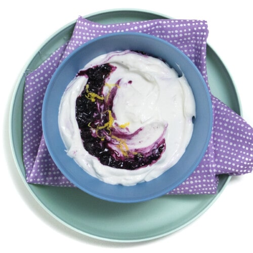 Flavorful Blueberry Yogurt (3-Ingredients) | Baby Foode