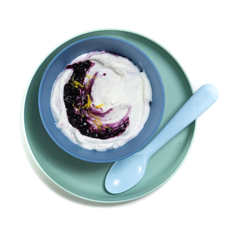 Flavorful Blueberry Yogurt (3-Ingredients) | Baby Foode
