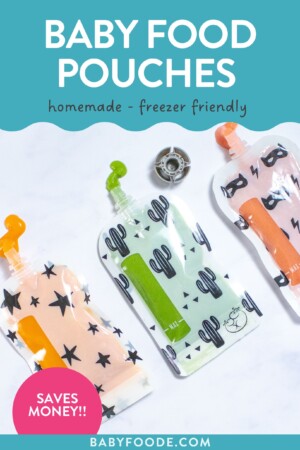 Homemade Baby Food Pouches (Guide, Recipes & Tips!) | Baby Foode