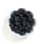 How to Serve Blackberries to Baby (puree & blw) | Baby Foode