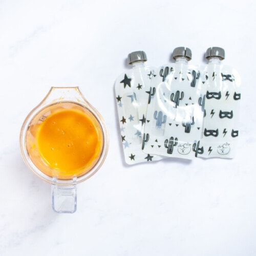 Homemade Baby Food Pouches (Guide, Recipes & Tips!) | Baby Foode