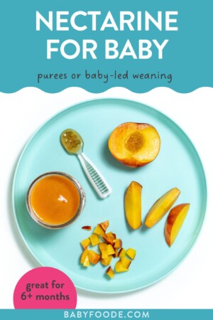 How to Serve Nectarines to Baby (Puree & Baby-Led Weaning) | Baby Foode