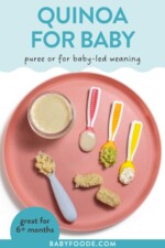 Quinoa for Baby-Led Weaning (6+ months) | Baby Foode