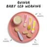 Quinoa for Baby-Led Weaning (6+ months) | Baby Foode