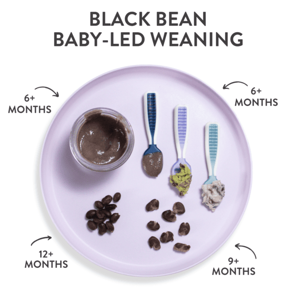Black Bean & Cumin Baby Food (Puree & BLW) | Baby Foode