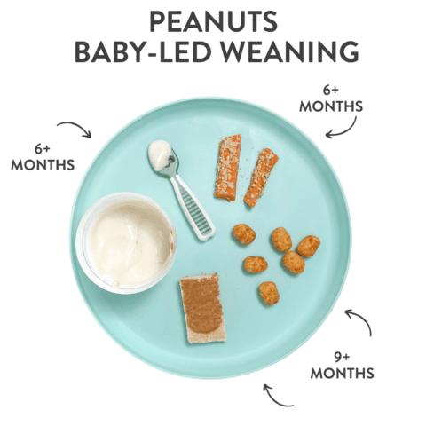 Easy-Peasy Peanuts for Babies (puree & baby-led weaning) | Baby Foode